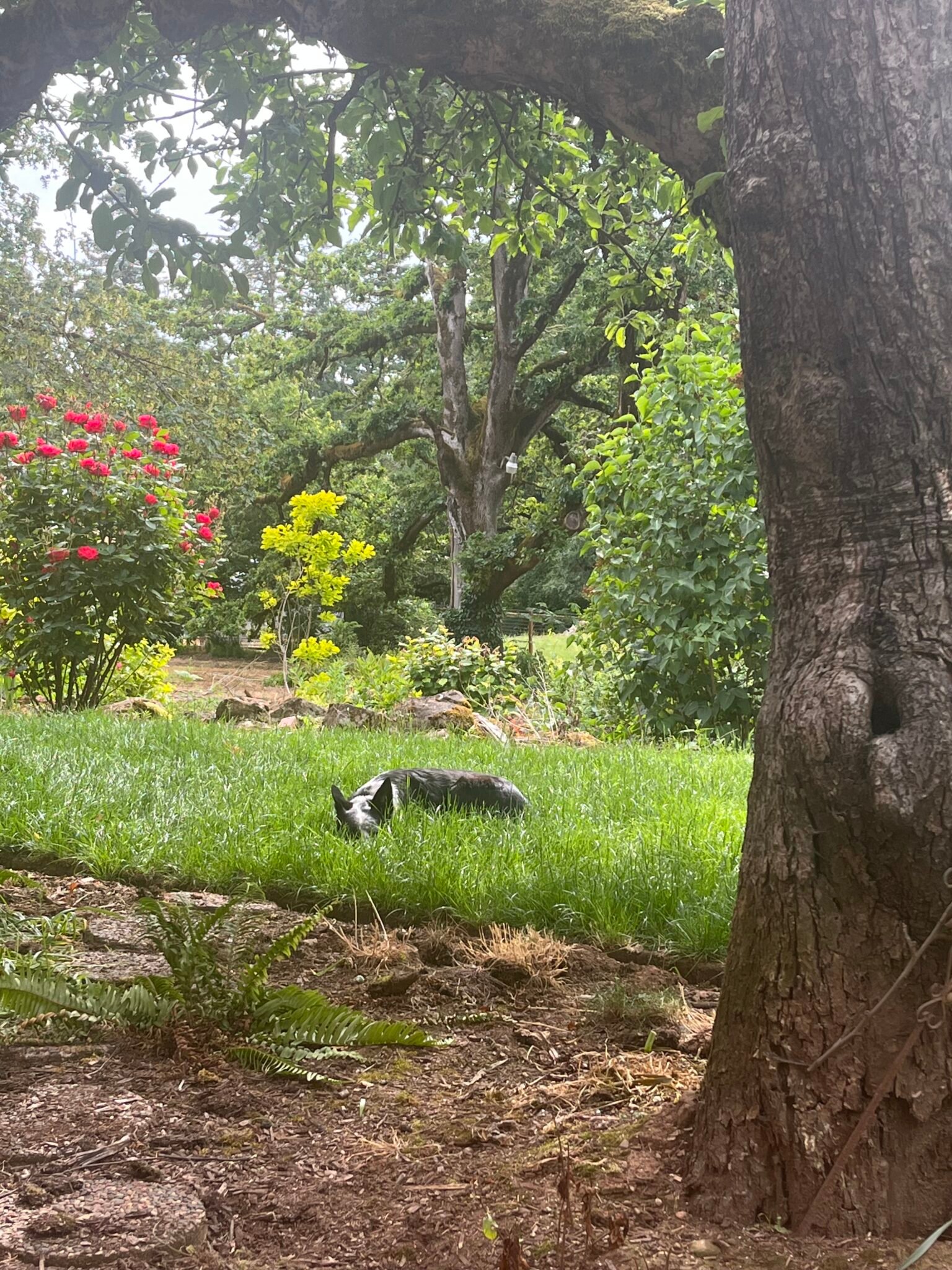 A second chance – jenhalley.com